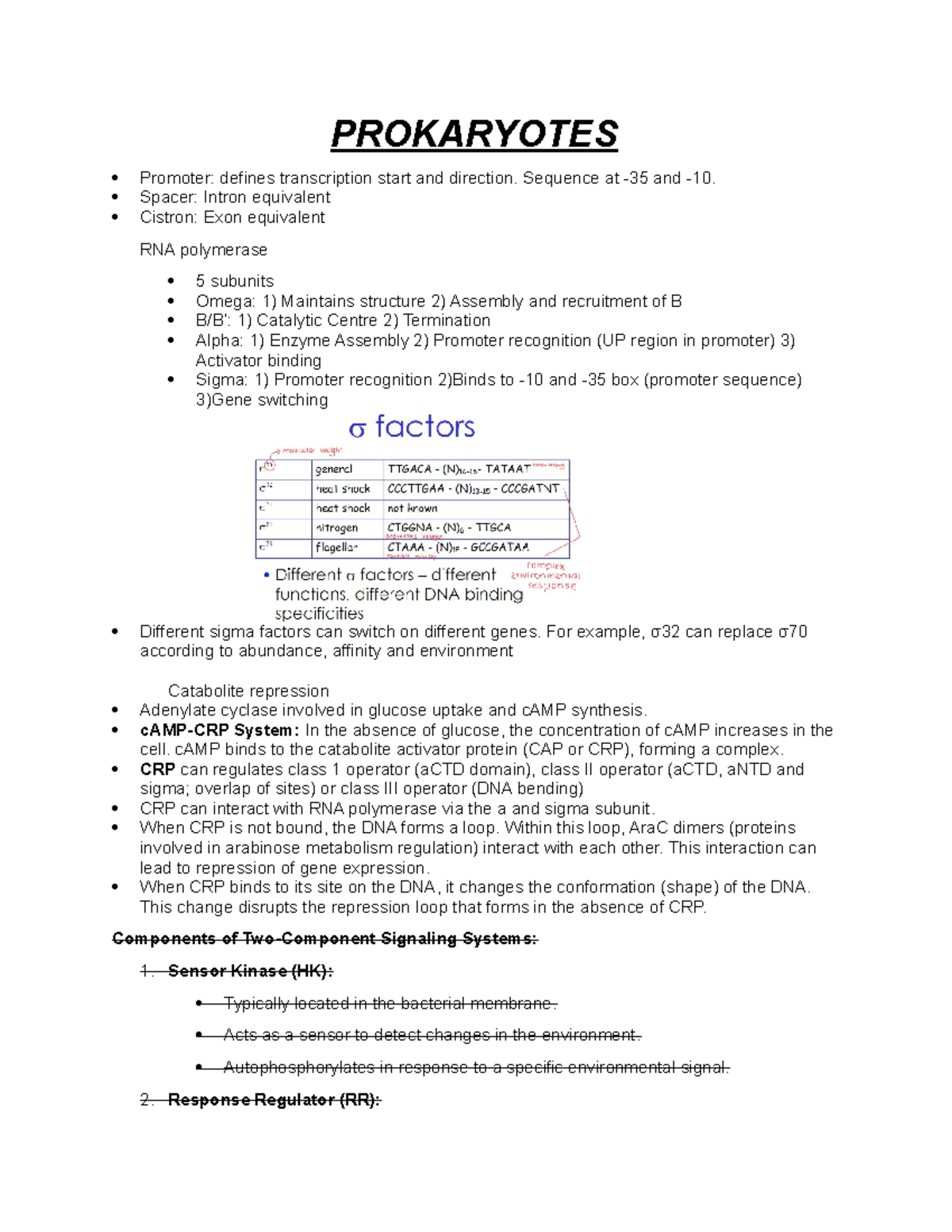 Key notes from all lectures - PROKARYOTES Promoter: defines ...