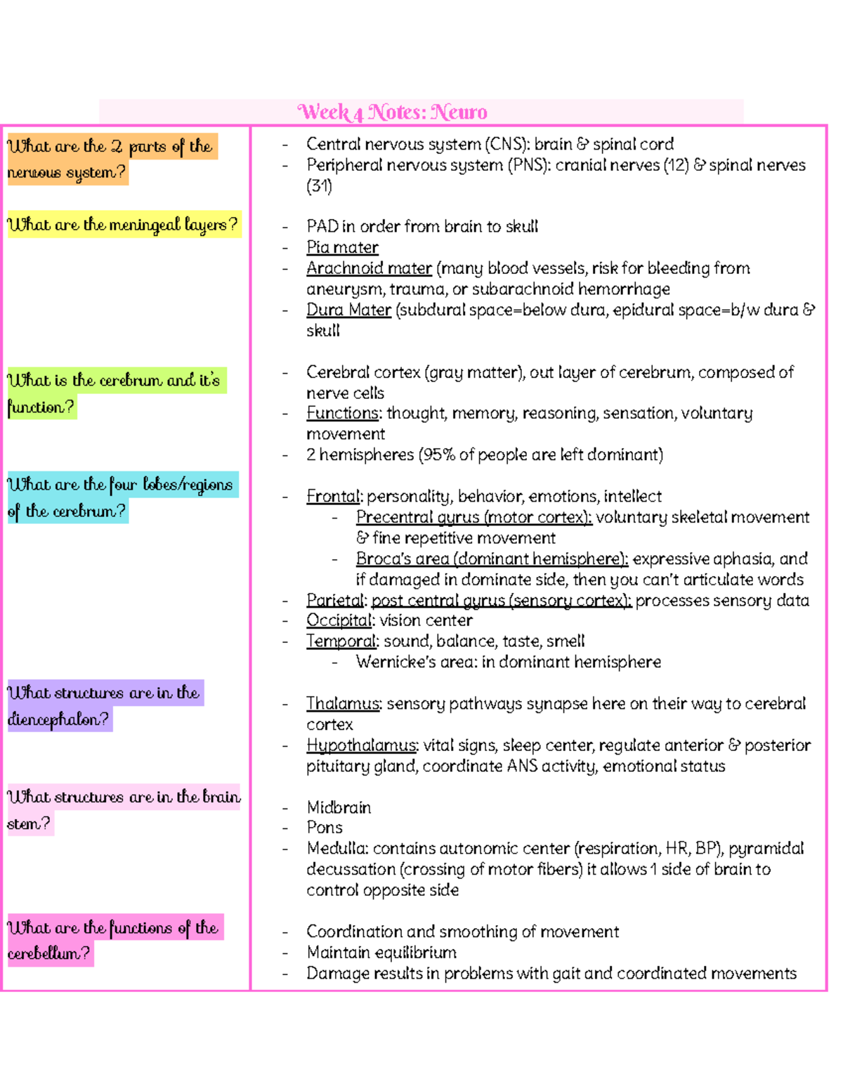 NURS 202 Week 4 Notes Neuro Week 4 Notes Neuro What Are The 2 Parts 