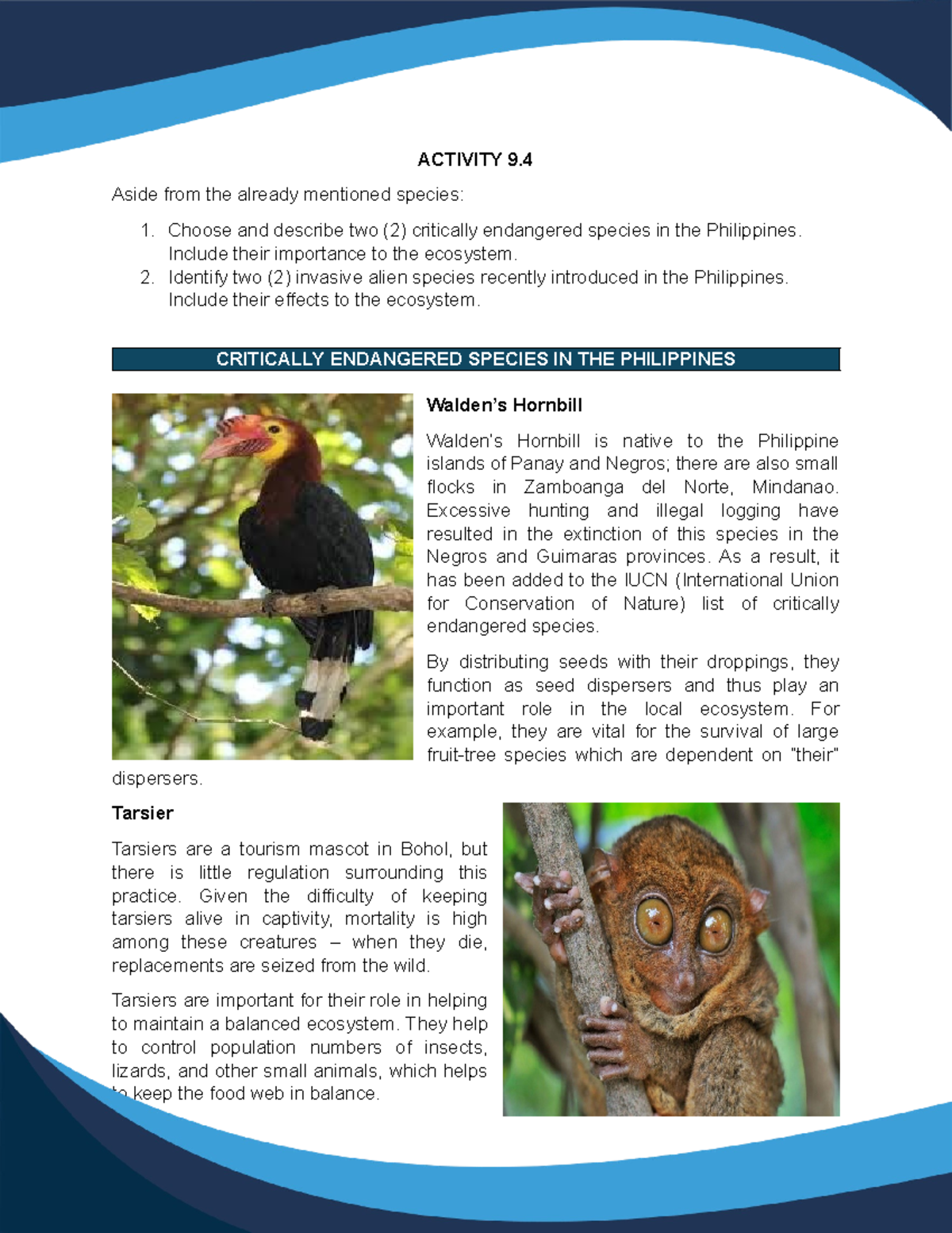 Philippine Endangered Species - ACTIVITY 9. Aside from the already ...
