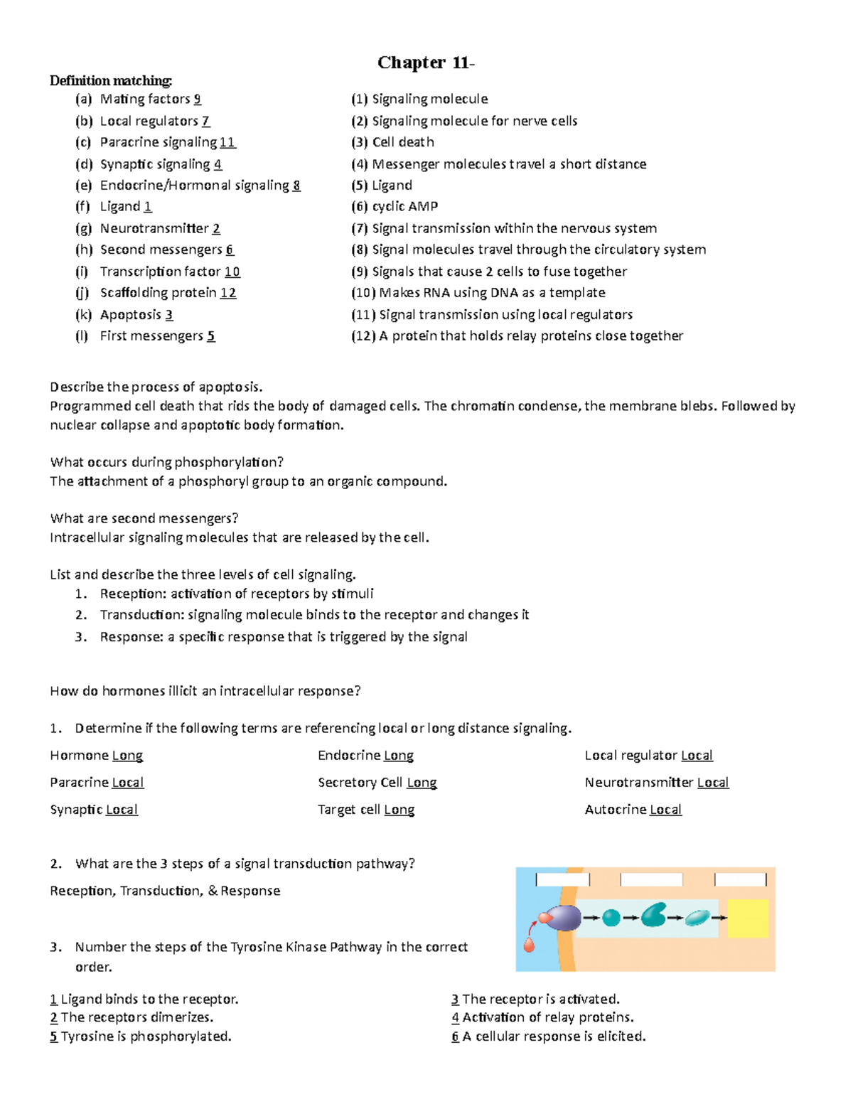 Bio Chapter 11 Assignment - Chapter 11- Definition matching: (a) Mating factors 9 (1) Signaling ...
