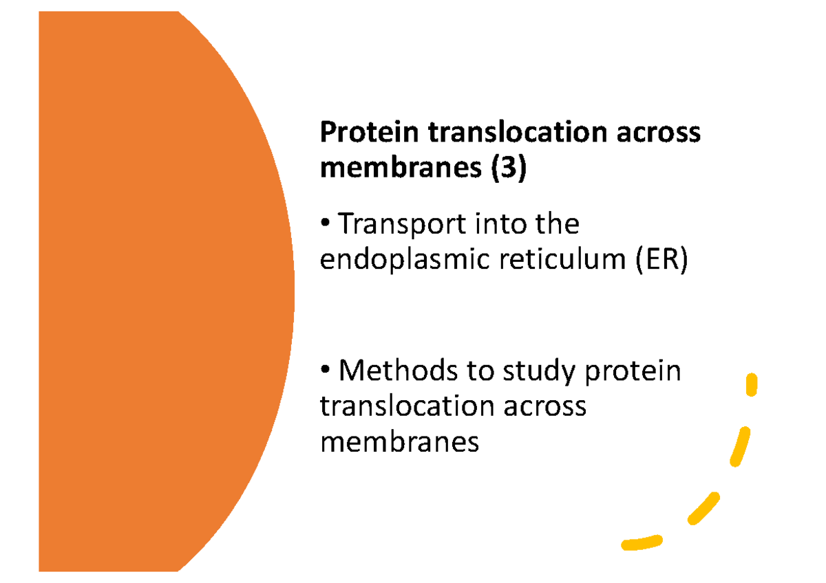 Lecture 2 copy - Protein translocation across membranes (3) Transport ...