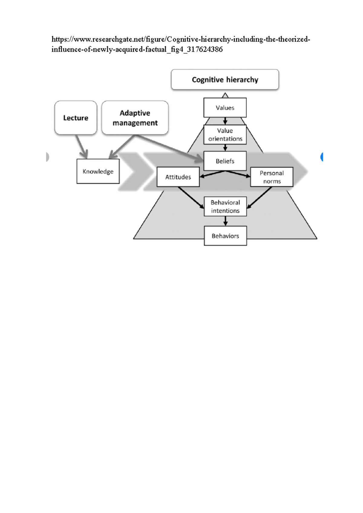 Mar - Marketing căn bản - researchgate/figure/Cognitive-hierarchy ...