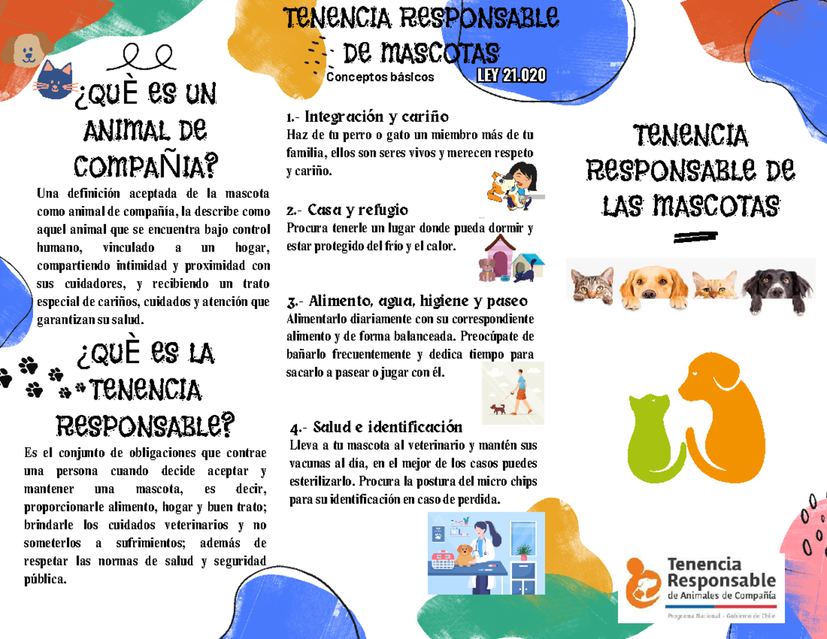 Triptico de Tenencia responsable de las mascotas - ¿QUÈ ES UN ANIMAL DE ...