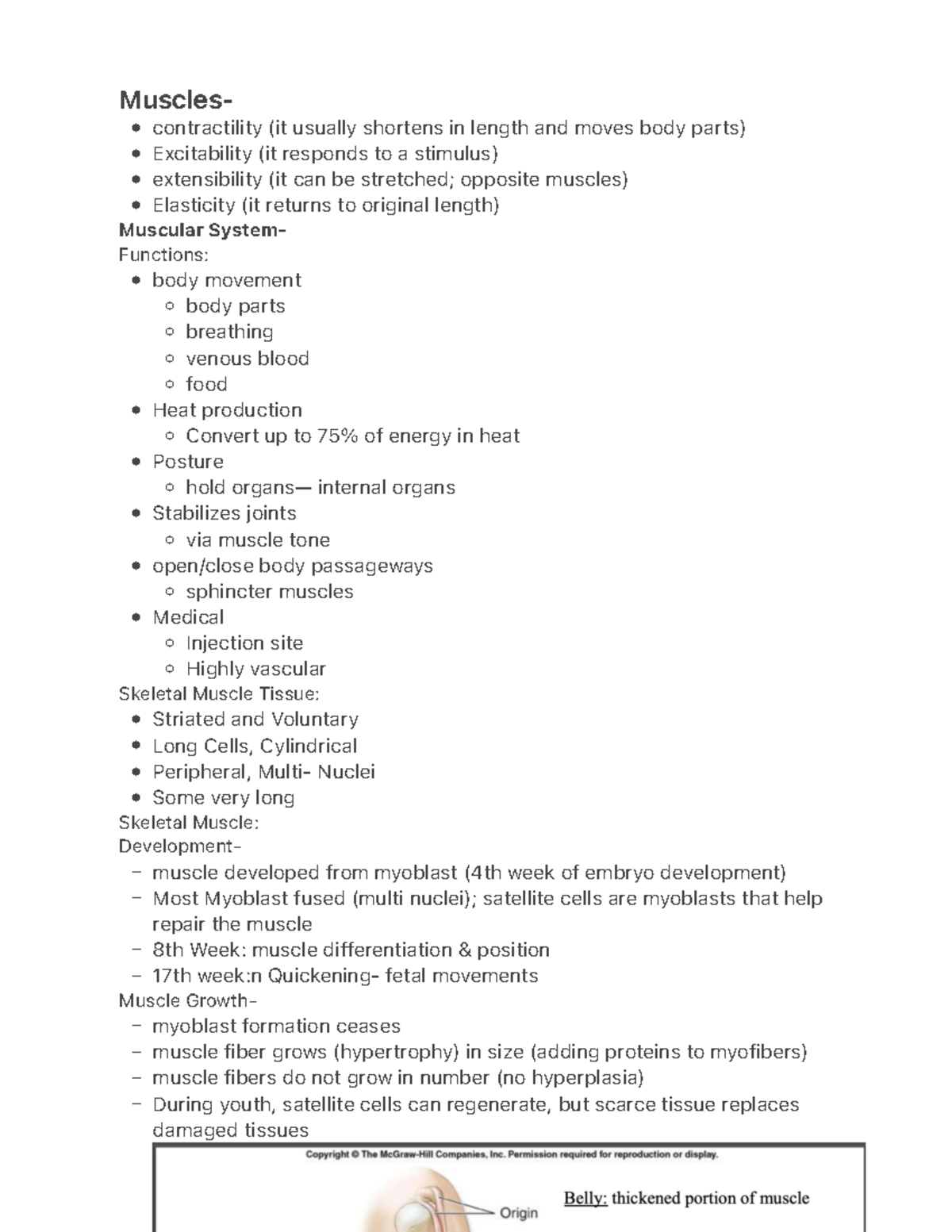 Muscles - notes - – – – – – – – – Muscles- - Studocu