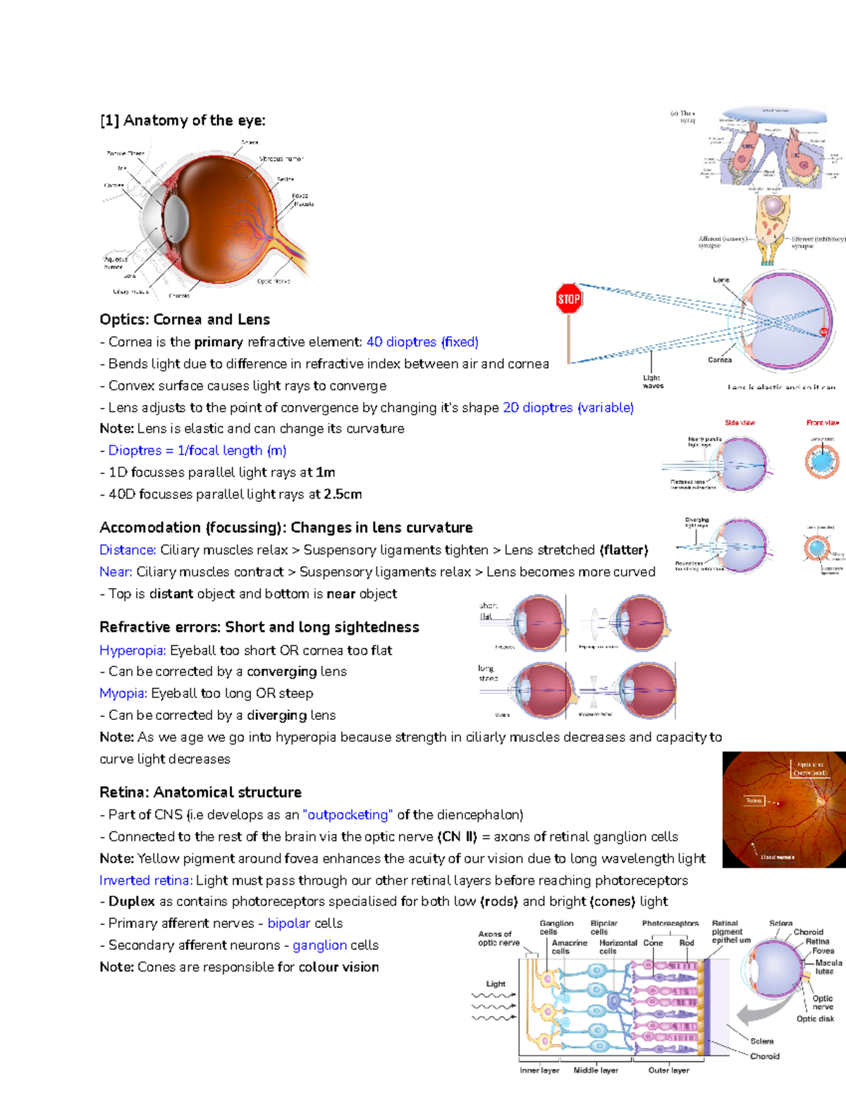 Week 8 Sensing & Perceiving Light pt1 - [1] Anatomy of the eye: Optics ...