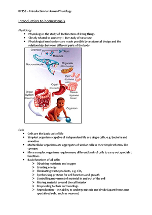 Homeostasis - Lecture Notes - BY153 Introduc琀椀on to Human Physiology ...