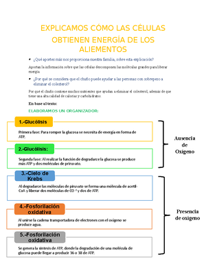 Atividade DE PROD. DE Texto NASA - Você sabe o que é a NASA? NASA ...