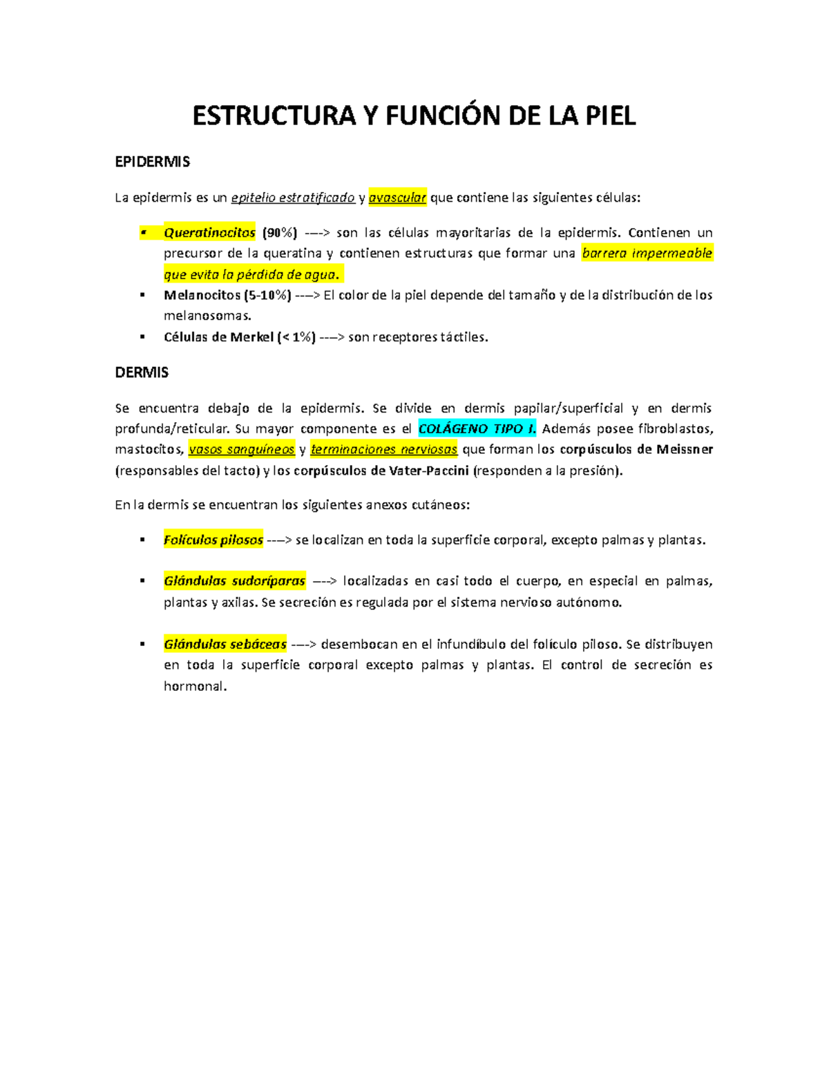 Repaso Derma - ESTRUCTURA Y FUNCIÓN DE LA PIEL EPIDERMIS La epidermis ...