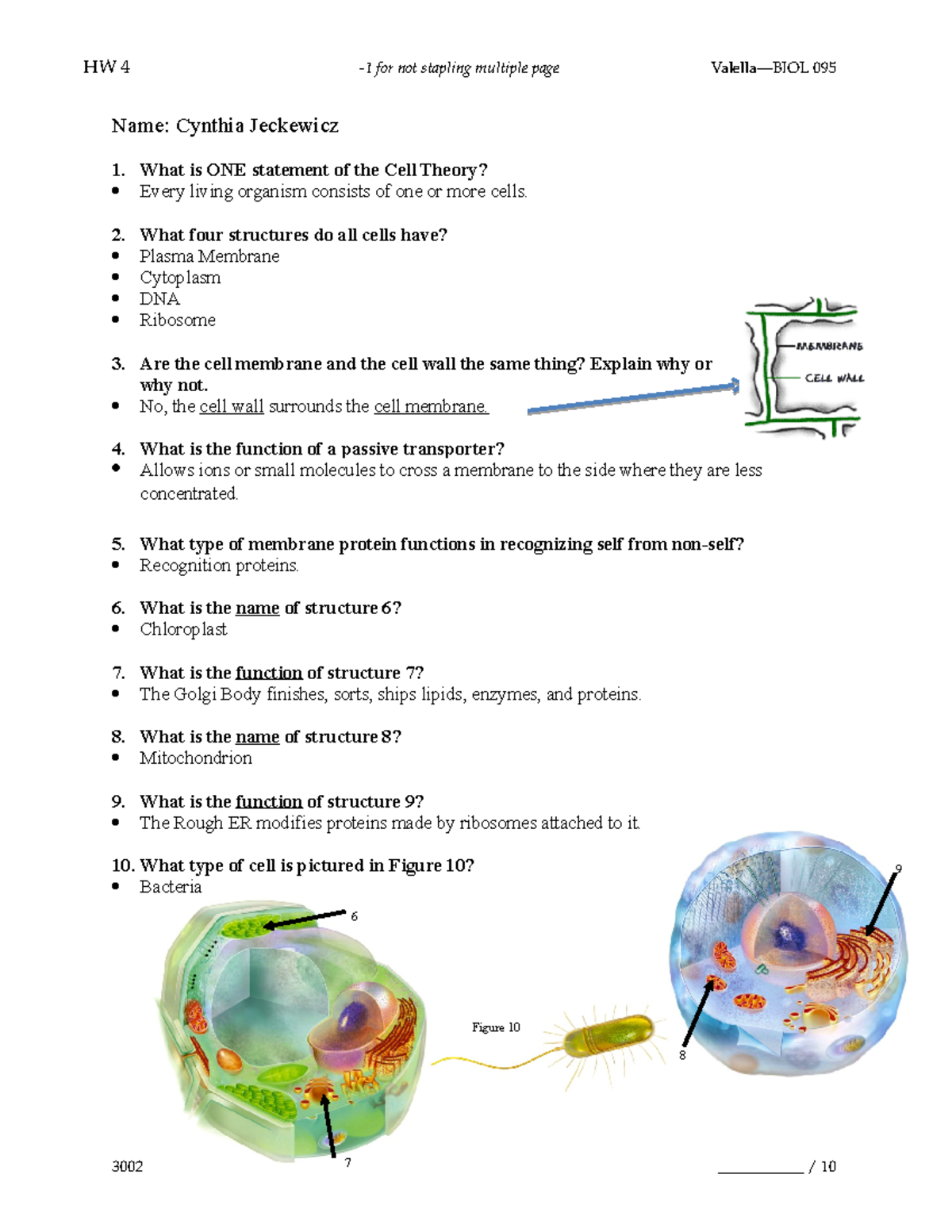 HW 4 3002 - Biology 95 - 3002 Mon/Wed Class 4:30pm – 5:50pm Valella - 8 ...