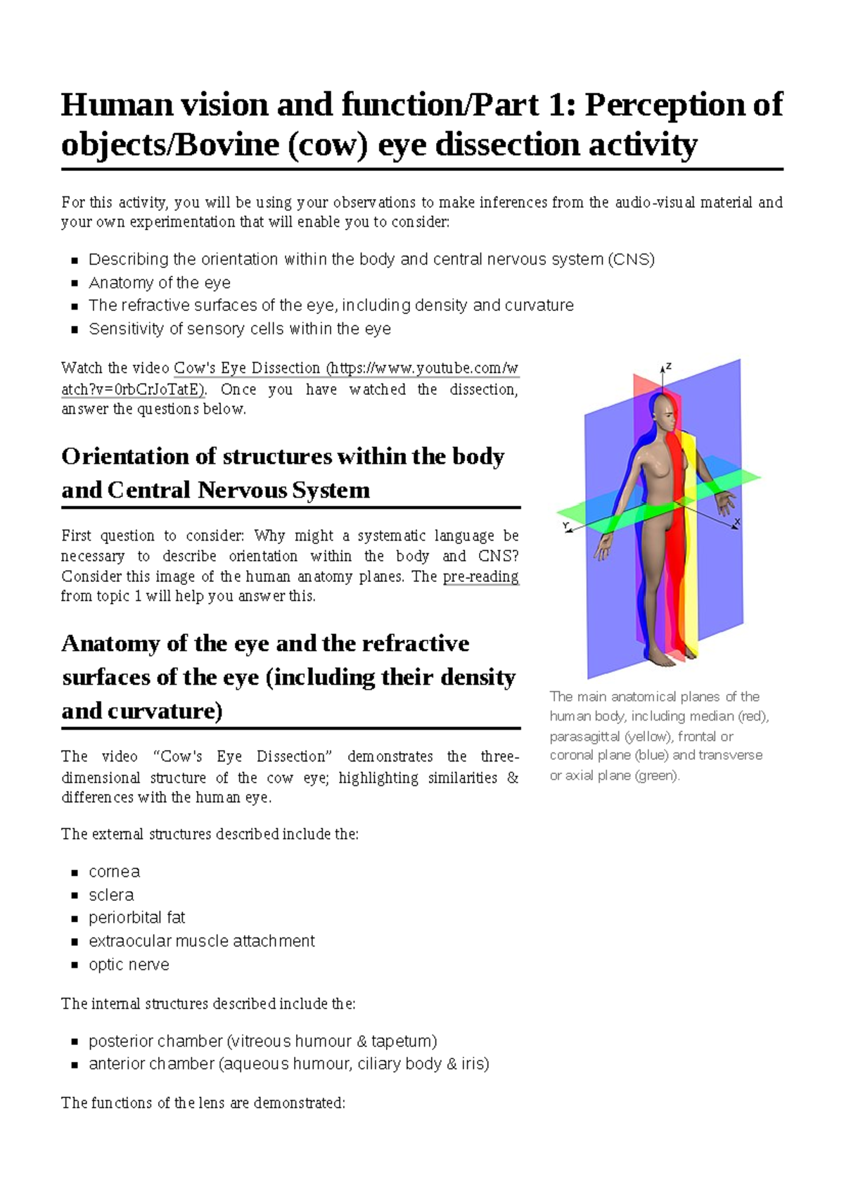 Human vision and function Part 1 Perception of objects Bovine (cow) eye ...