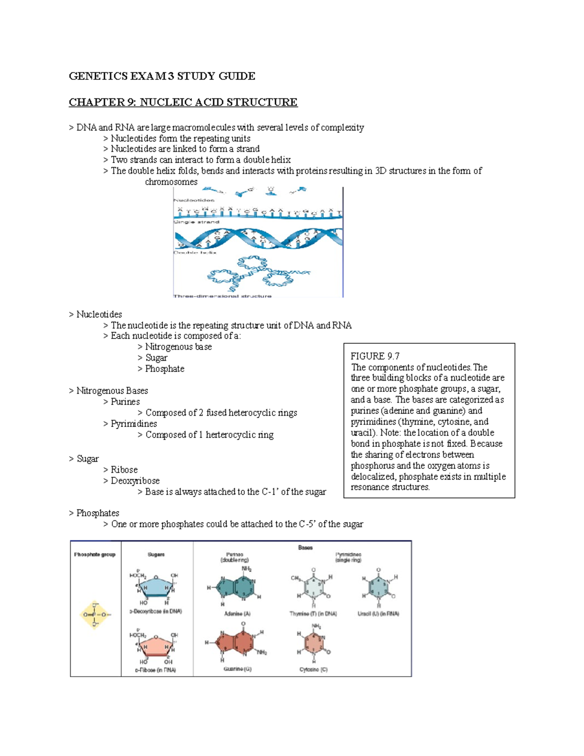 Genetics EXAM 3 Study Guide - GENETICS EXAM 3 STUDY GUIDE CHAPTER 9 ...