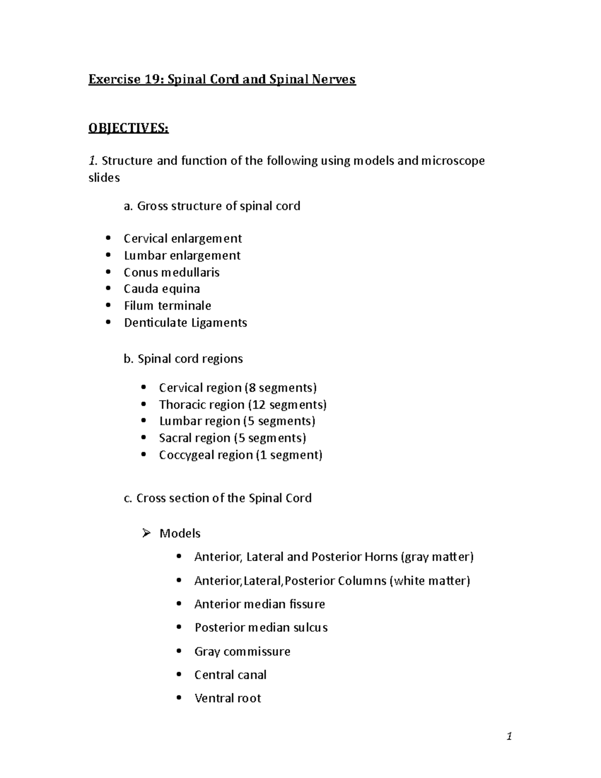 Lab Objectives- Spinal Cord and Spinal Nerves - Exercise 19: Spinal ...