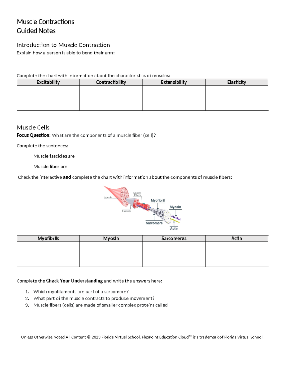Guided notes muscle contractions - Muscle Contractions Guided Notes ...