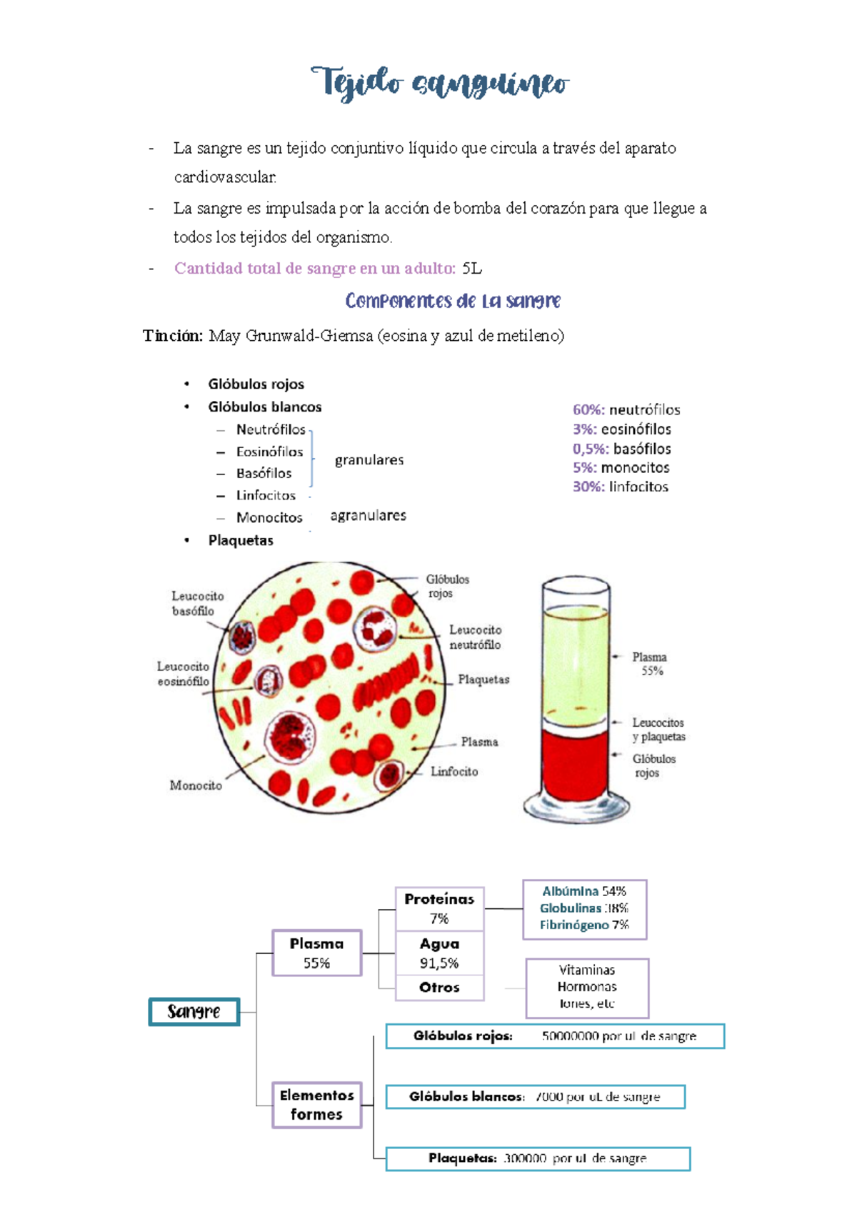 Tejido sanguíneo - Resumen Histologia I - Tejido sanguíneo La sangre es un tejido conjuntivo ...