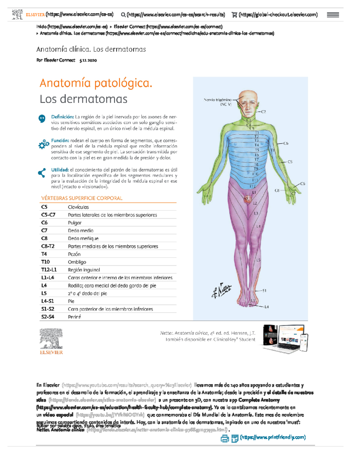 Anatomía clínica. Los dermatomas - En Elsevier (youtube/results?search ...