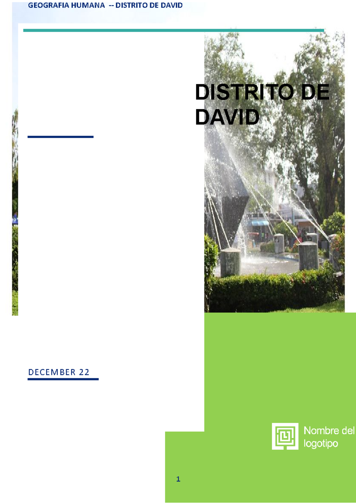 Distrito de David estadísticas - DECEMBER 10 DISTRITO DE DAVID DISTRITO ...