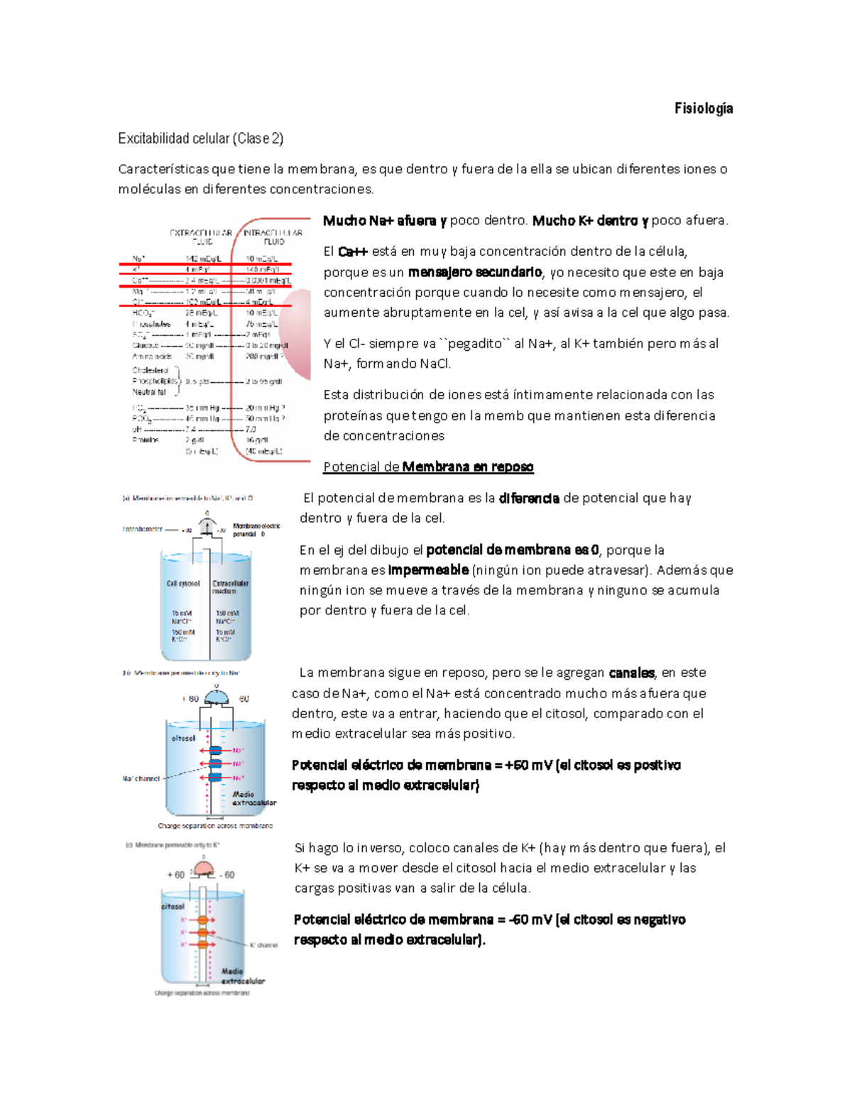 Clase 2 Excitabilidad Celular - FisiologÌa Excitabilidad celular (Clase ...
