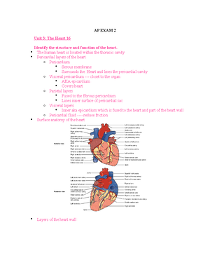 [Solved] identify factors affecting blood flow - Human Anatomy And ...