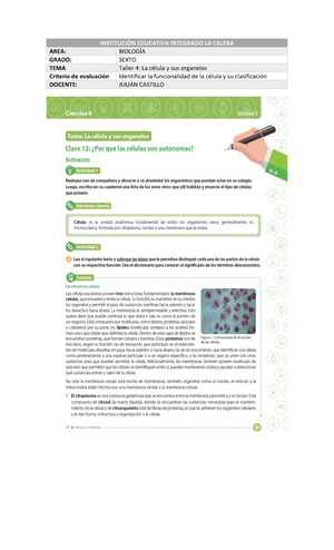 Introduccion - introduccio botanica - INTRODUCCION las células de los ...