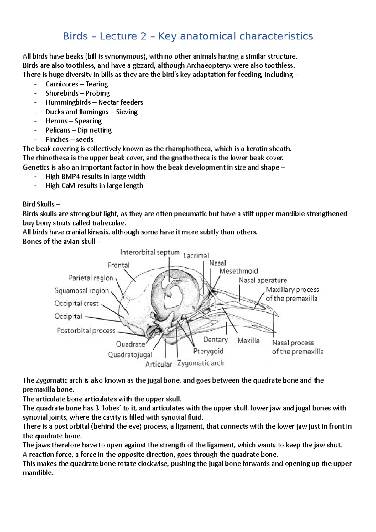 Birds: Diversity, Behaviour and Conservation Lecture 2 - Birds ...