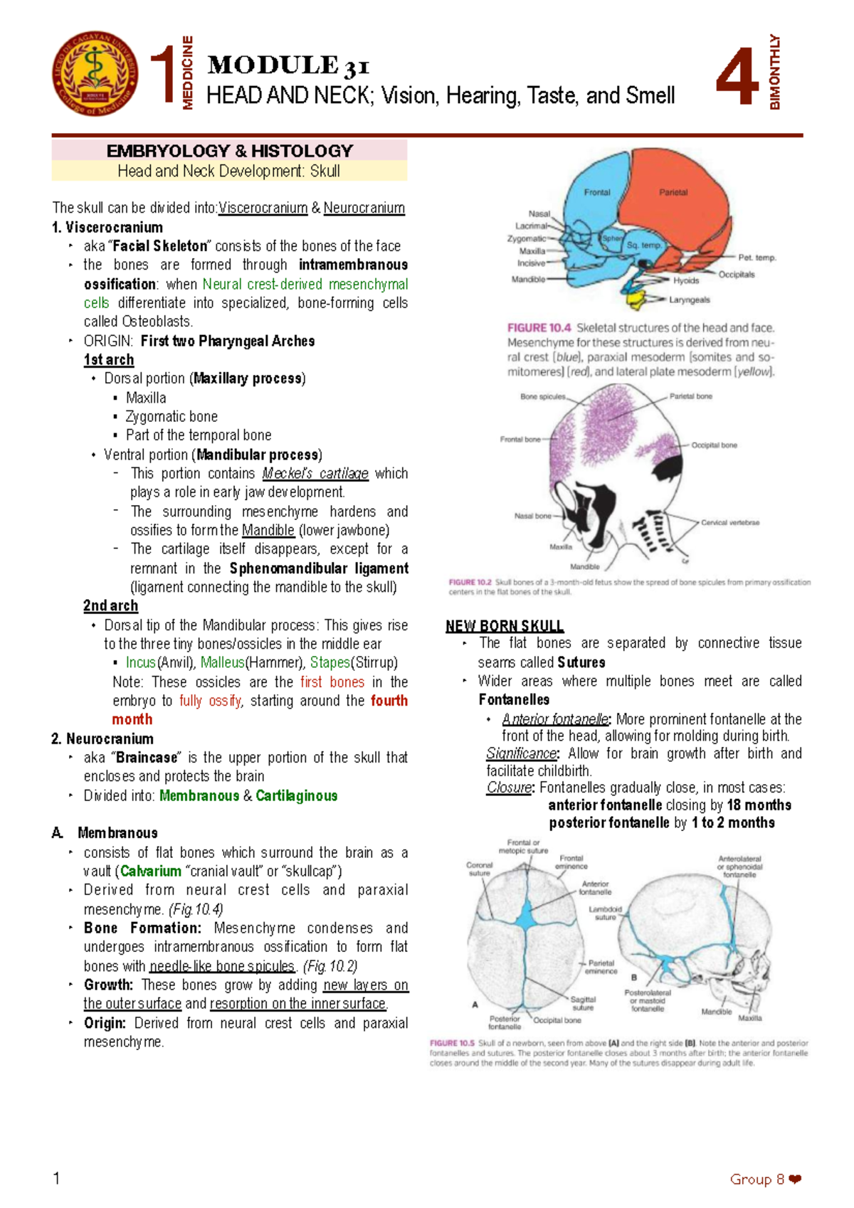 Module-31-Head Neck - 1 MEDDICINE HEAD AND NECK; Vision, Hearing, Taste ...