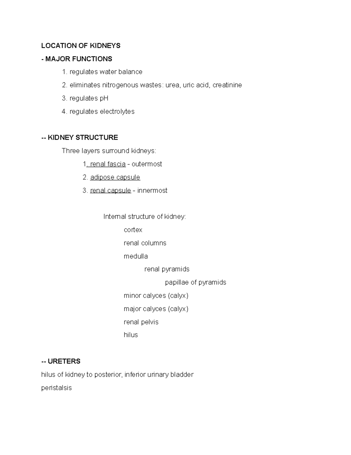 Location OF Kidneys - LOCATION OF KIDNEYS - MAJOR FUNCTIONS regulates ...
