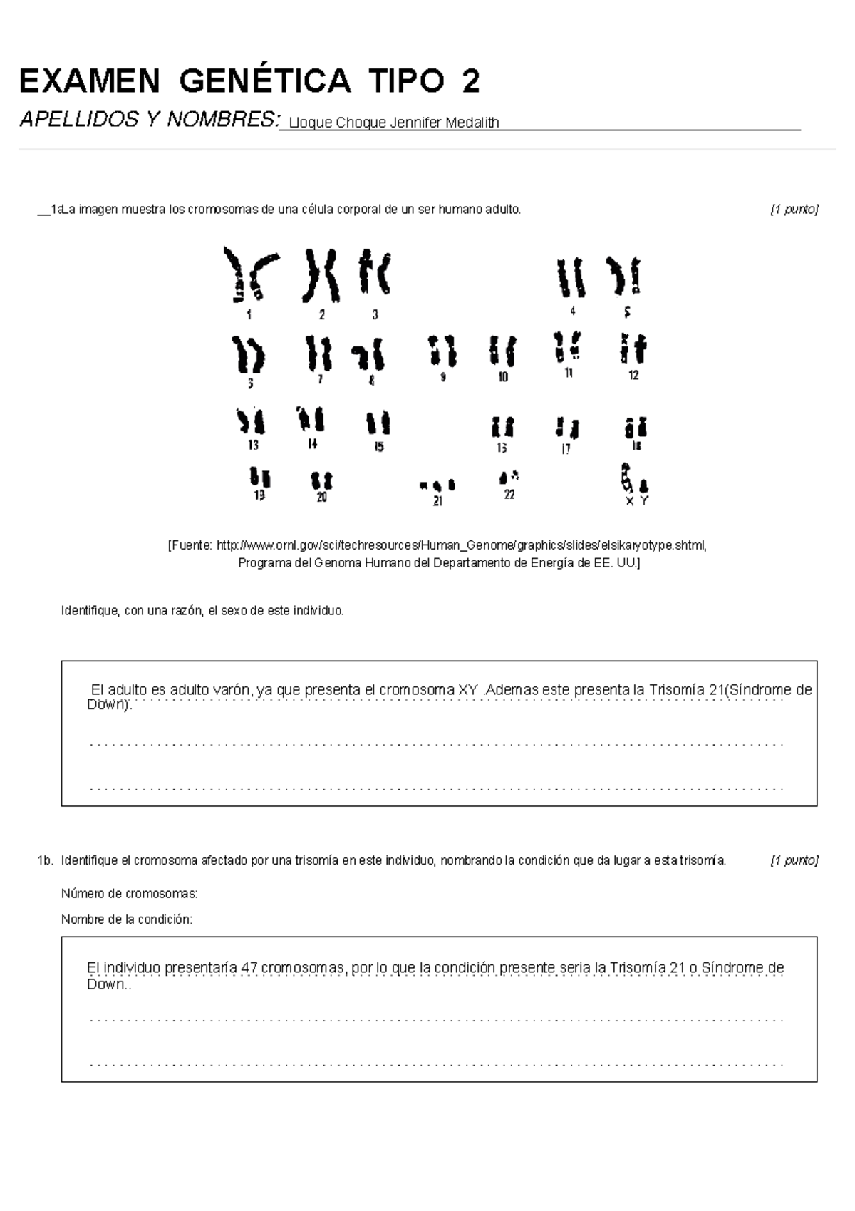 Genetica Examen TIPO 2 - Banco de preguntas del IB Jennifer Lloque ...