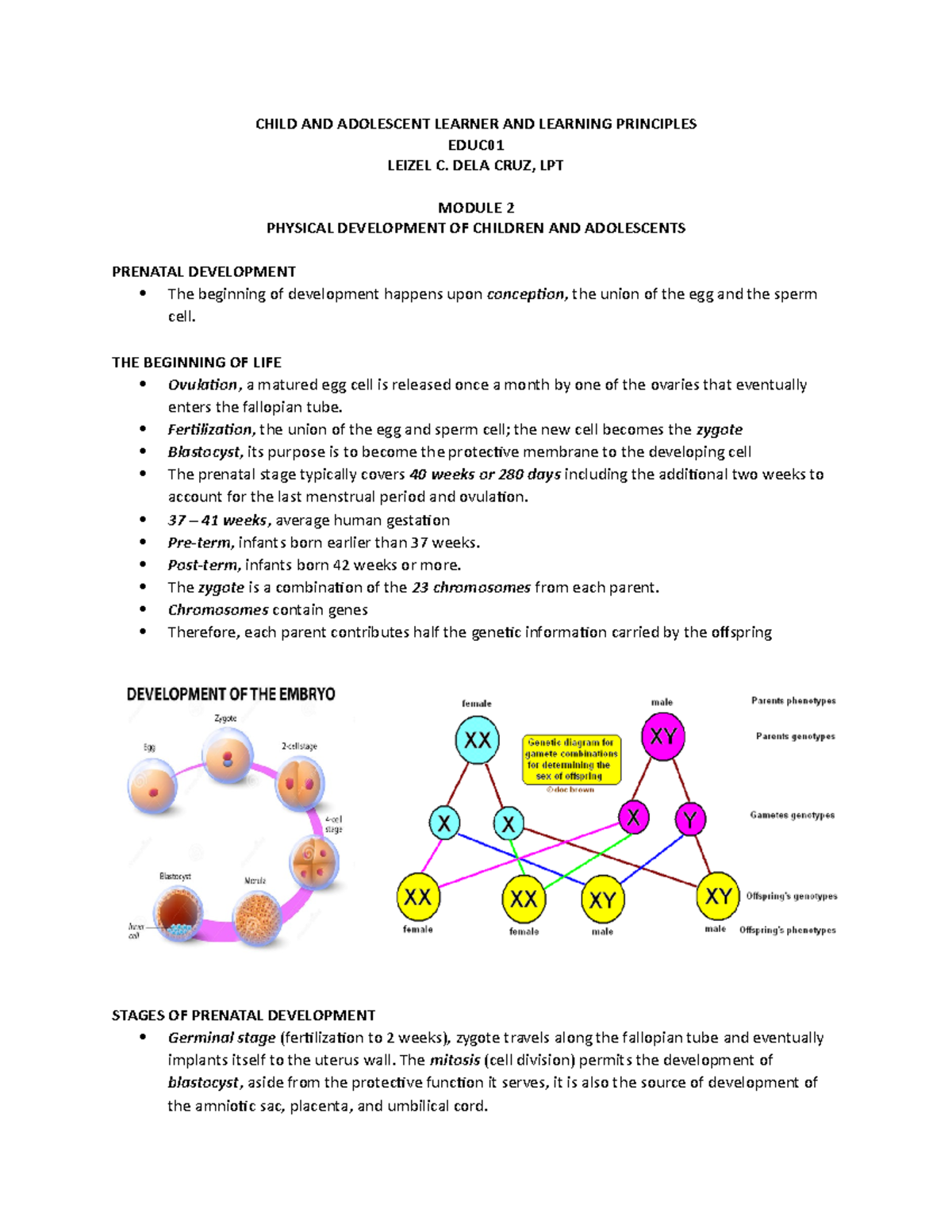 Module-2-Physical-Development-of-Children-and-Adolescents - CHILD AND ...