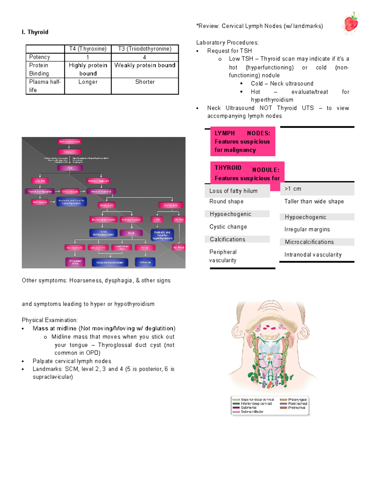 Surgery - I. Thyroid T4 (Thyroxine) T3 (Triiodothyronine) Potency 1 ...