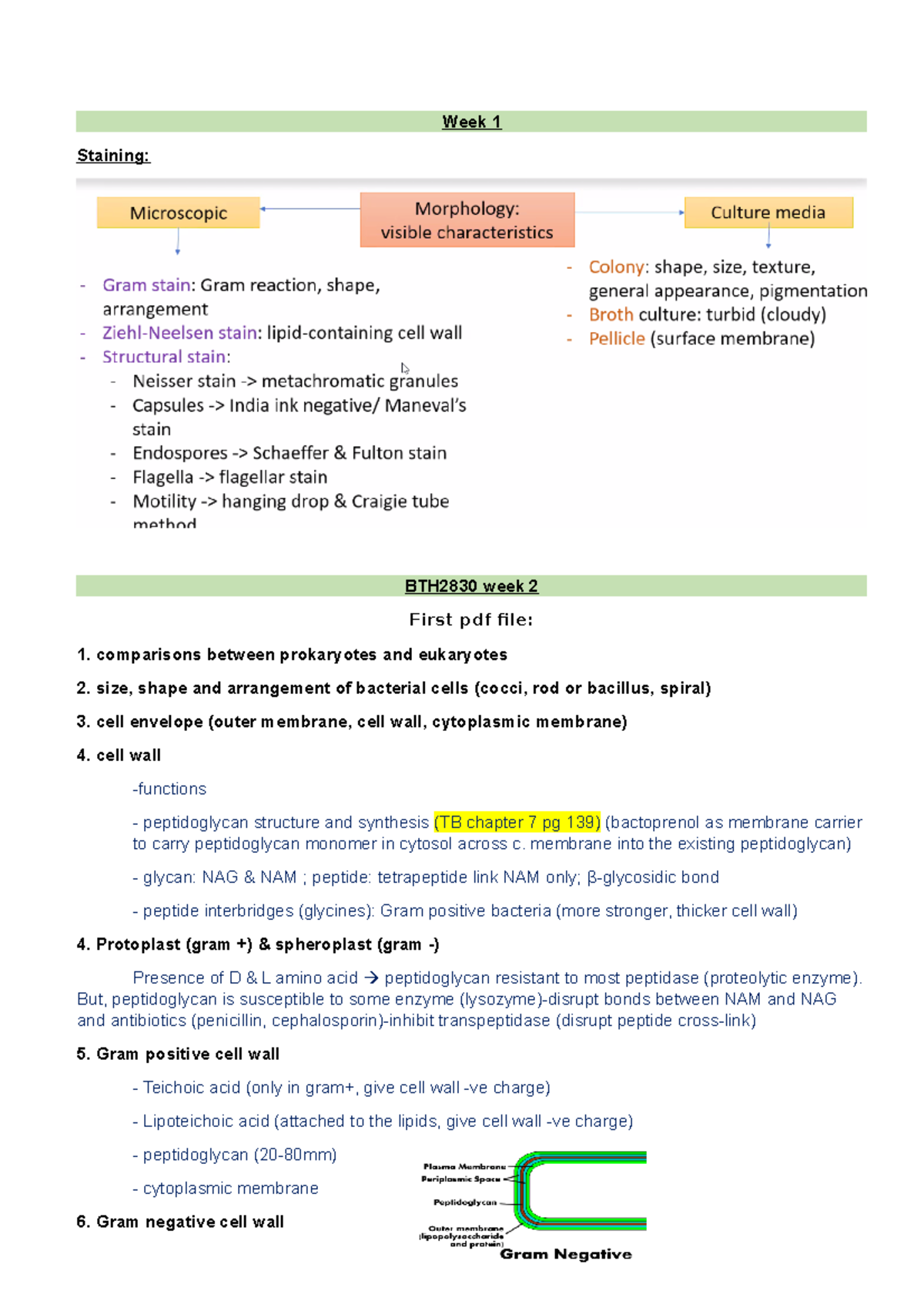 BTH2830 weekly lecture summary - Week 1 Staining: BTH2830 week 2 ...