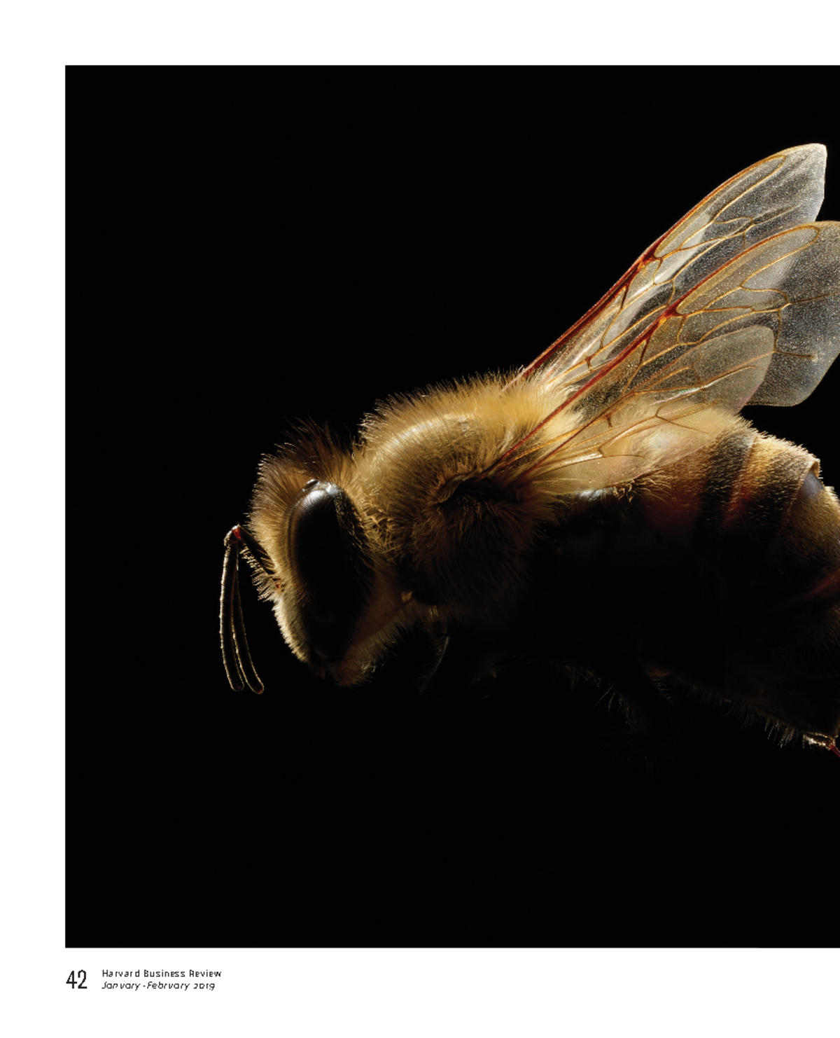 Retrieve-9 - 42 Harvard Business Review 2019 Roger L. Martin Director ...