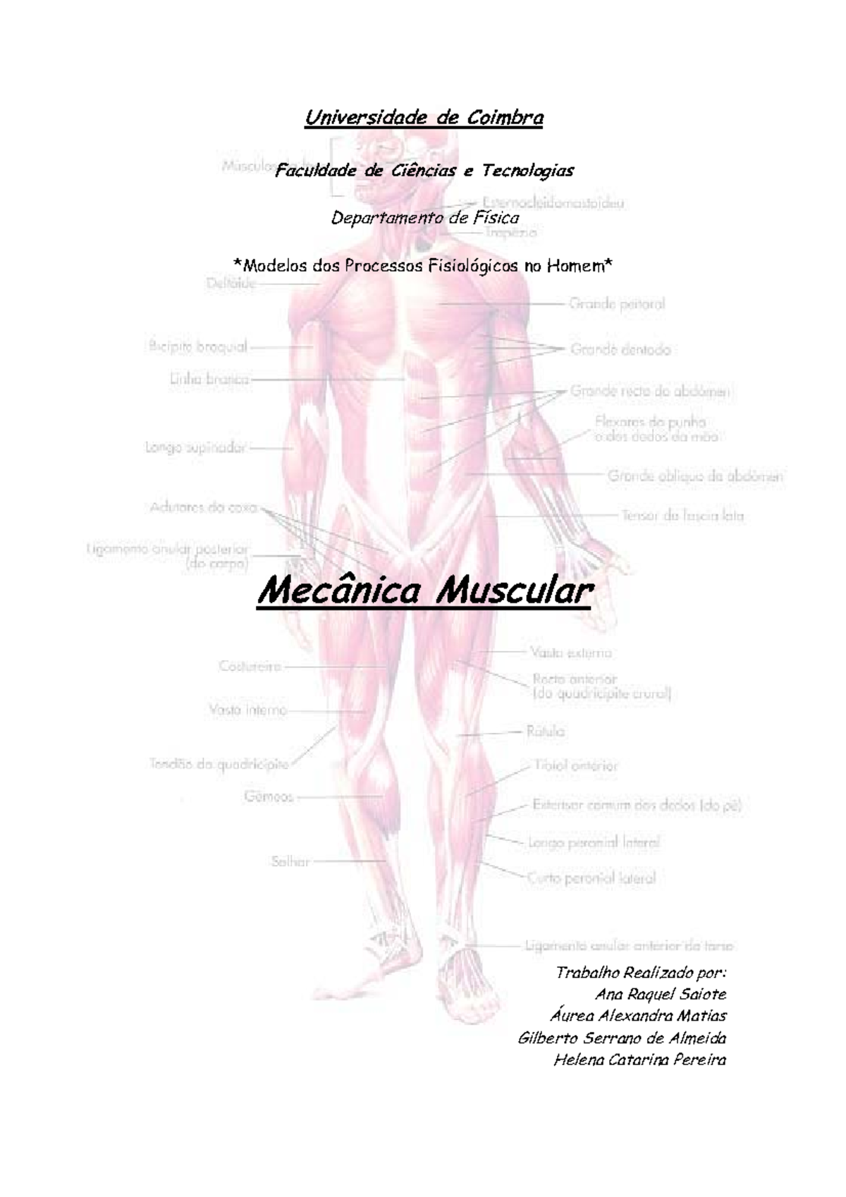 Mecanica muscular - Cinesiologia - Universidade de Coimbra Faculdade de ...