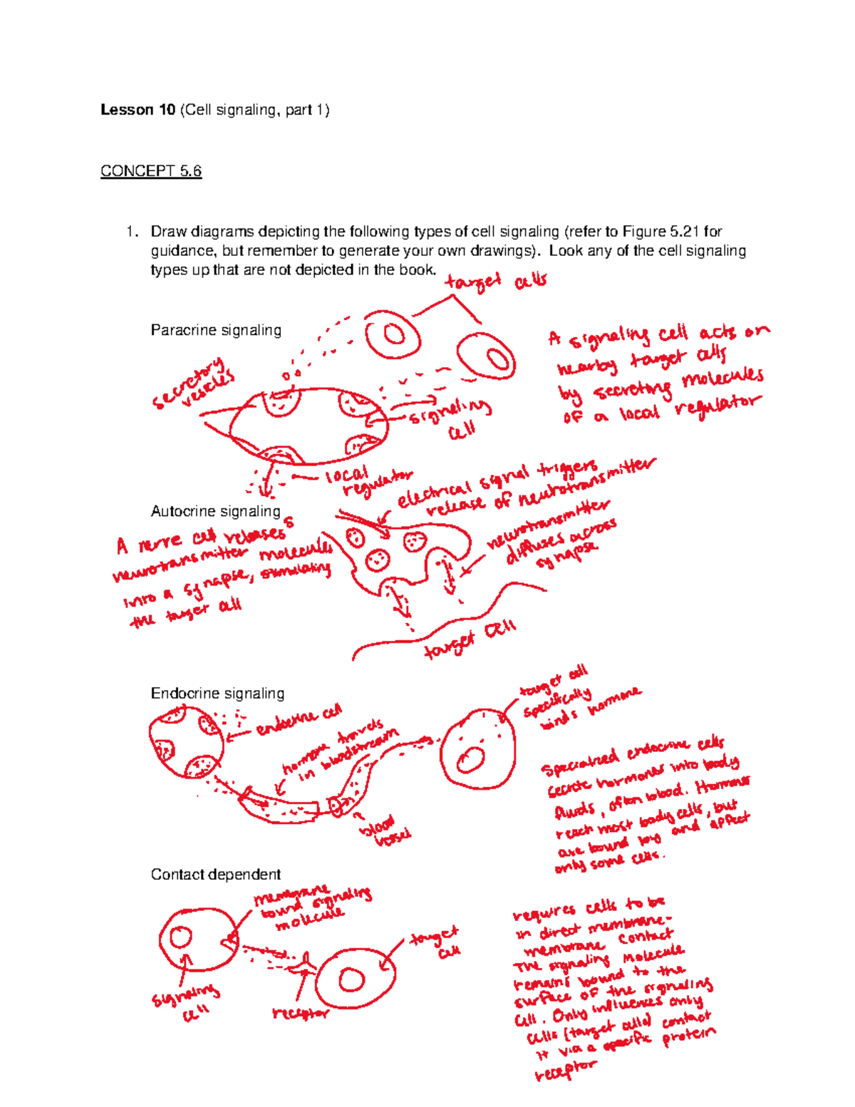 Lesson 10 GRQs - Lesson 10 (Cell signaling, part 1) CONCEPT 5. Draw ...