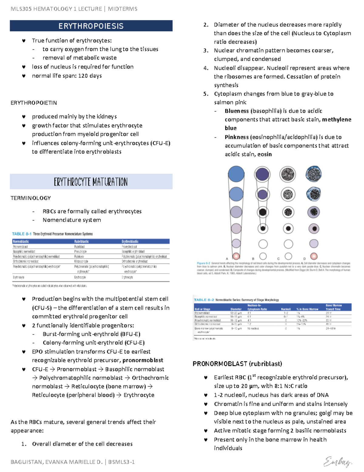 Hematology Lecture Midterms - ERYTHROPOIESIS True function of ...