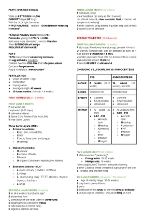 Assessment - METRO MANILA DEVELOPMENT SCREENING TEST Overview Screening ...