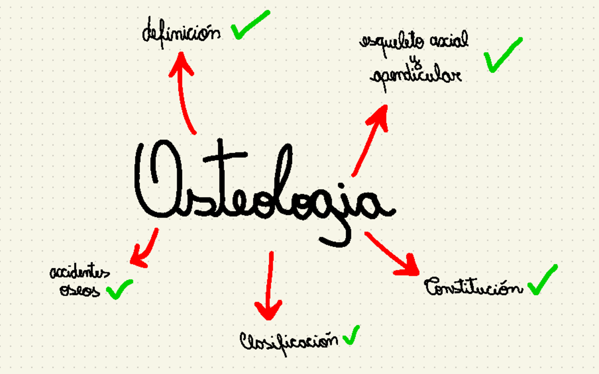 Osteologia generalidades - definición v esqueleto ascial v ####### A ...