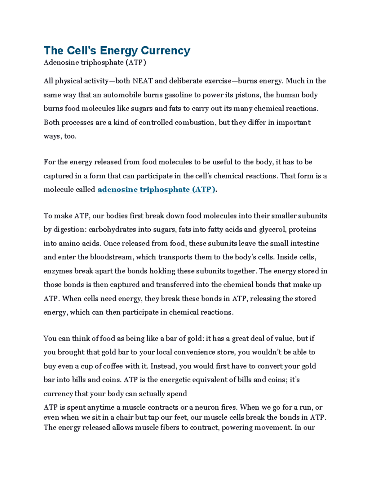 Bio ch. 6.3-The Cell’s Energy Currency - The Cell’s Energy Currency ...