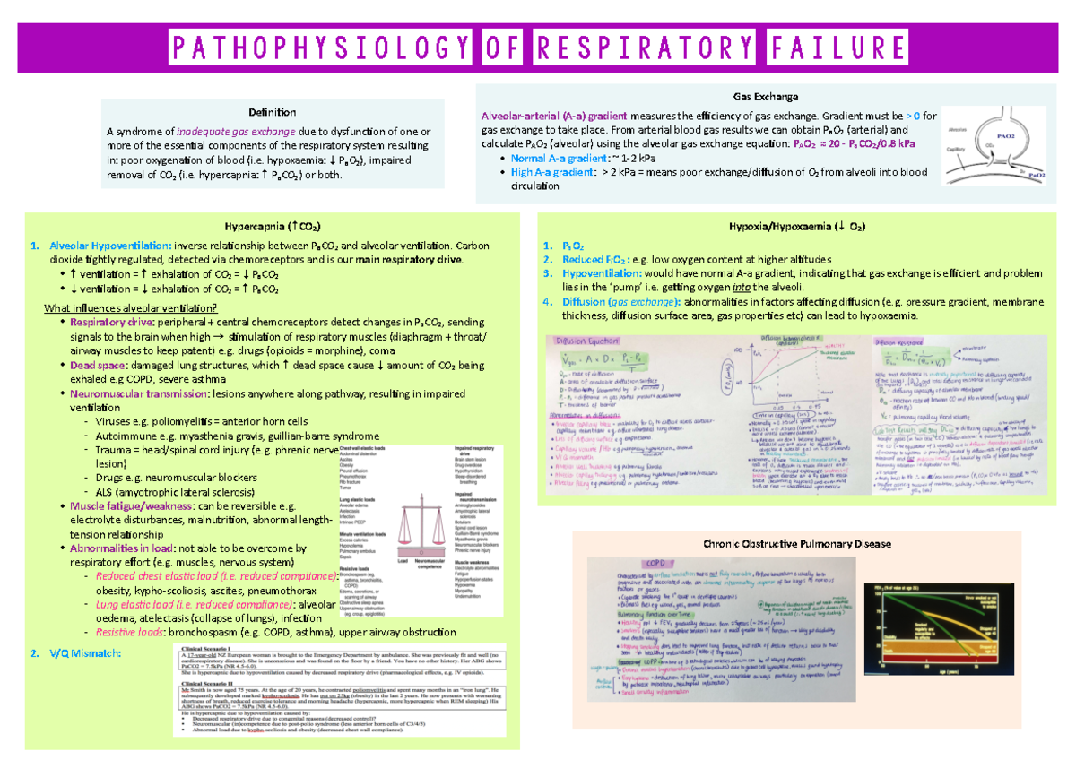 Pathophysiology of Respiratory Failure - Pathophysiology of respiratory ...