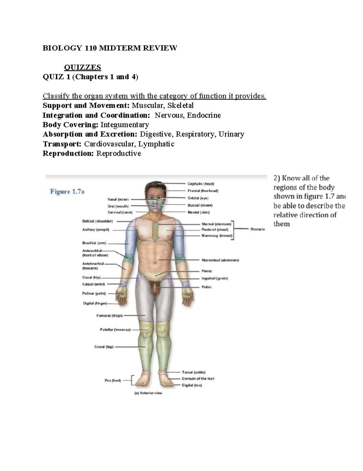 BIO Midterm Quizzes - BIOLOGY 110 MIDTERM REVIEW QUIZZES QUIZ 1 ...