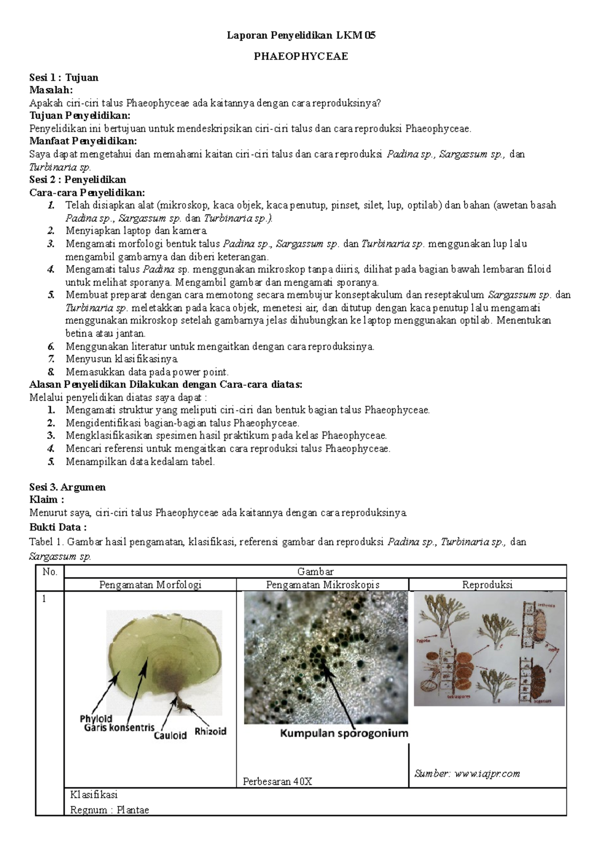 Laporan 05 Phaeophyceae - Laporan Penyelidikan LKM 05 PHAEOPHYCEAE Sesi 1 : Tujuan Masalah ...