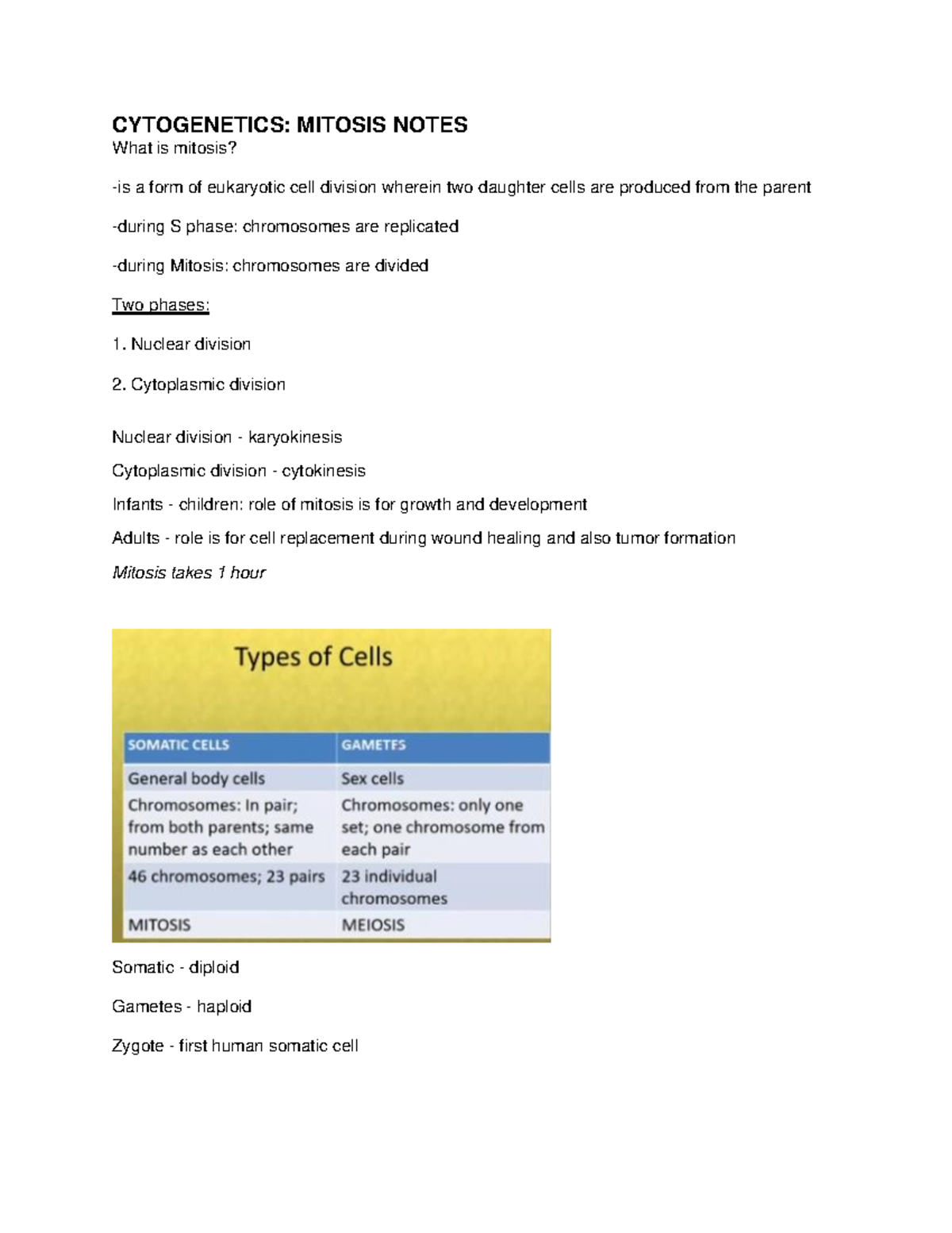 Mitosis notes - cytogenetics - CYTOGENETICS: MITOSIS NOTES What is ...