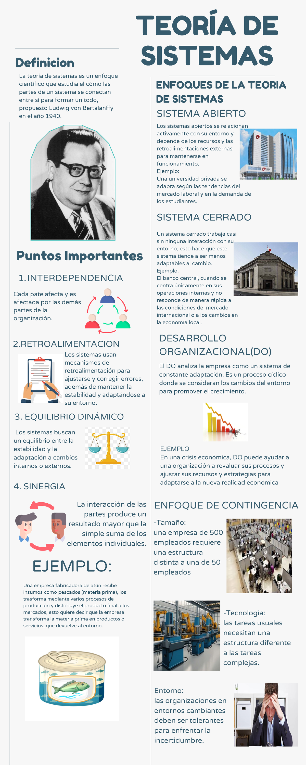 Infográfico Teoria de sistemas - TEORÍA DE Definicion SISTEMAS Puntos ...