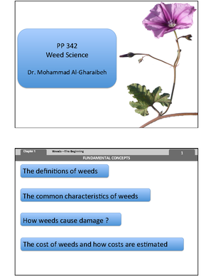 Chrysanthemum - Dr. Mohammad Al Salem - CHRYSANTHEMUM Chrysant hemum ...