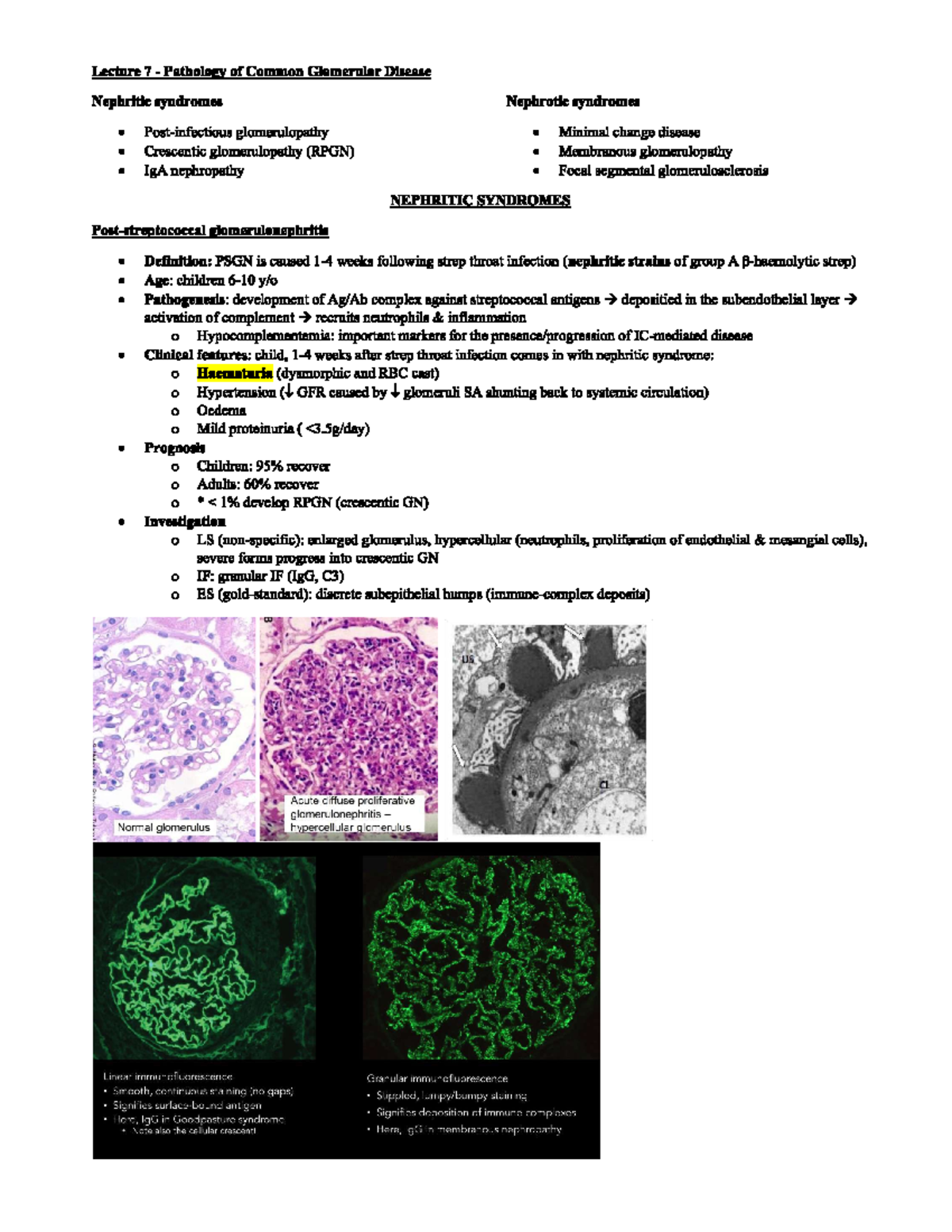 Pathology of Common Glomerular Disease - HHS518 - Studocu