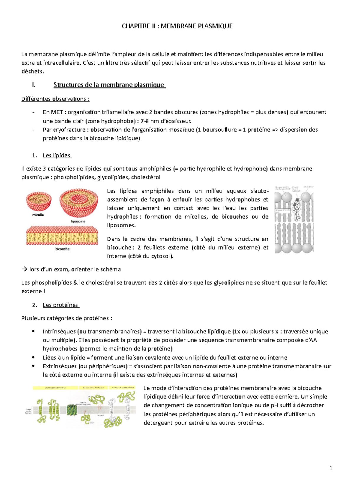 La membrane plasmique - CHAPITRE II : MEMBRANE PLASMIQUE La membrane plasmique délimite l ...