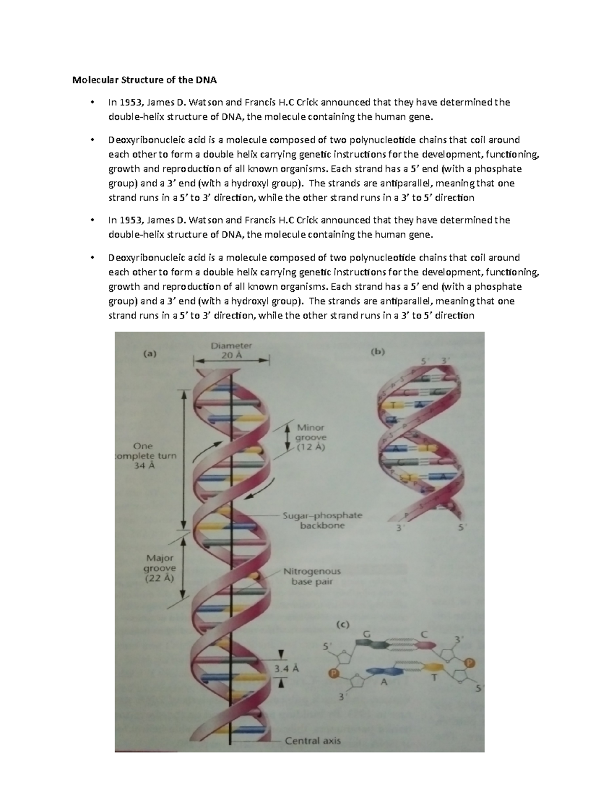 Molecular Structure of the DNA - Watson and Francis H Crick announced ...