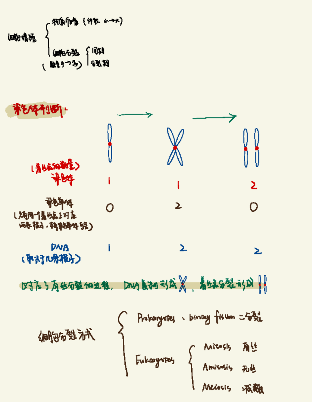Week 5 Note - Week 5 Note - *Y:It - 48 - 61 - x) SAT& TENTE E SAGE =***4: 08 -> · 8 ⑧ 8 - Studocu