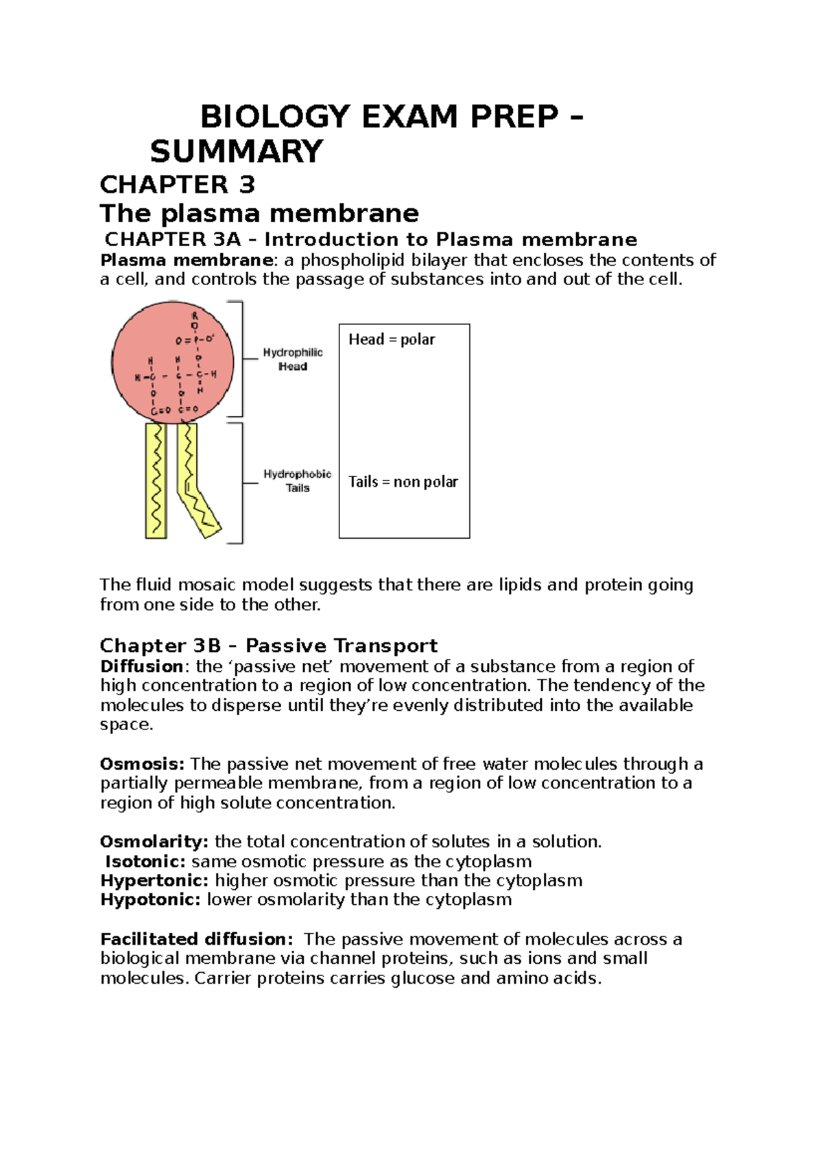 Biology EXAM PREP - BIOLOGY EXAM PREP – SUMMARY CHAPTER 3 The plasma ...