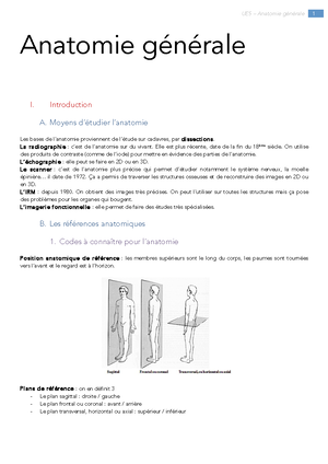 Le pelvis féminin - Le pelvis féminin La topographie pelvienne Le ...
