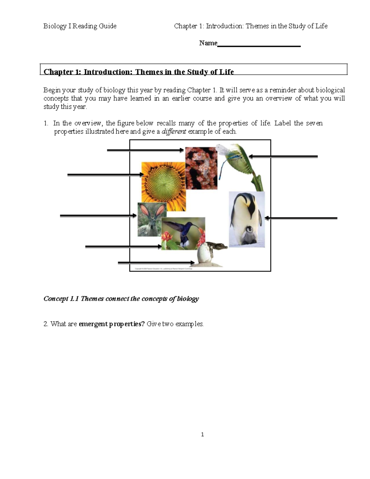 Chapter 1 Study Guide-1 - Name Chapter 1: Introduction: Themes in the ...